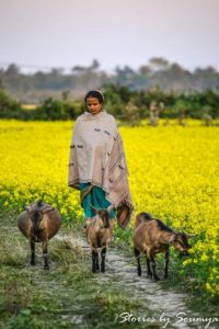 Bodo People Of India - Their Culture And Lifestyle - Stories by Soumya