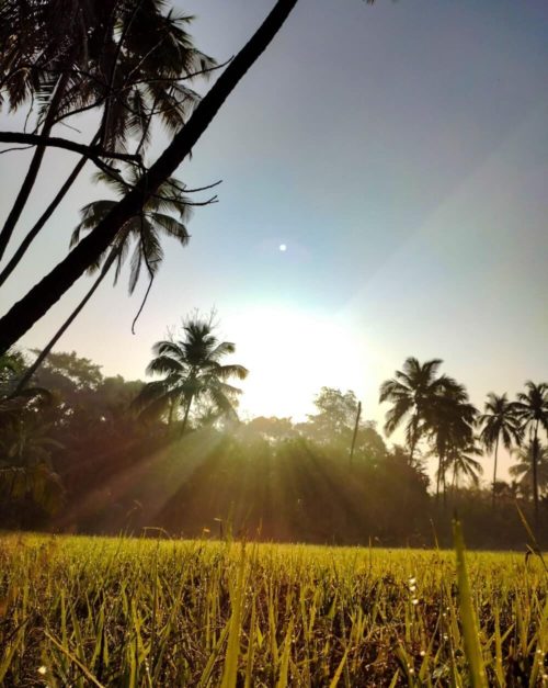 Tulu Nadu India: A Culture Guide By A Local - Stories by Soumya