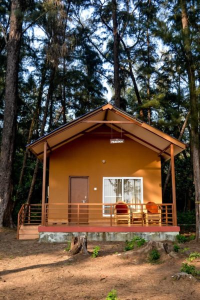 Jungle Lodges Devbagh Beach Resort Karwar: An Honest Review - Stories ...