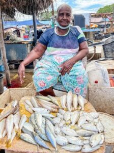 Negombo Fish Market In Sri Lanka: A Riot Of Colors, Smells And Smiles
